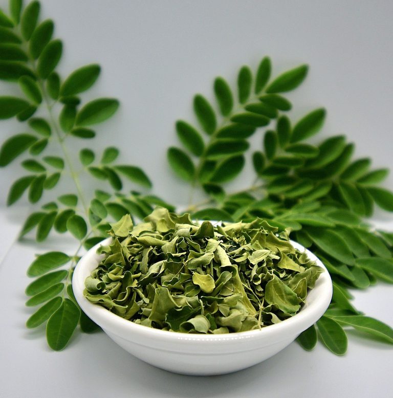 Moringa Loose Leaf Tea-30g - Whitsunday Rosella Tea